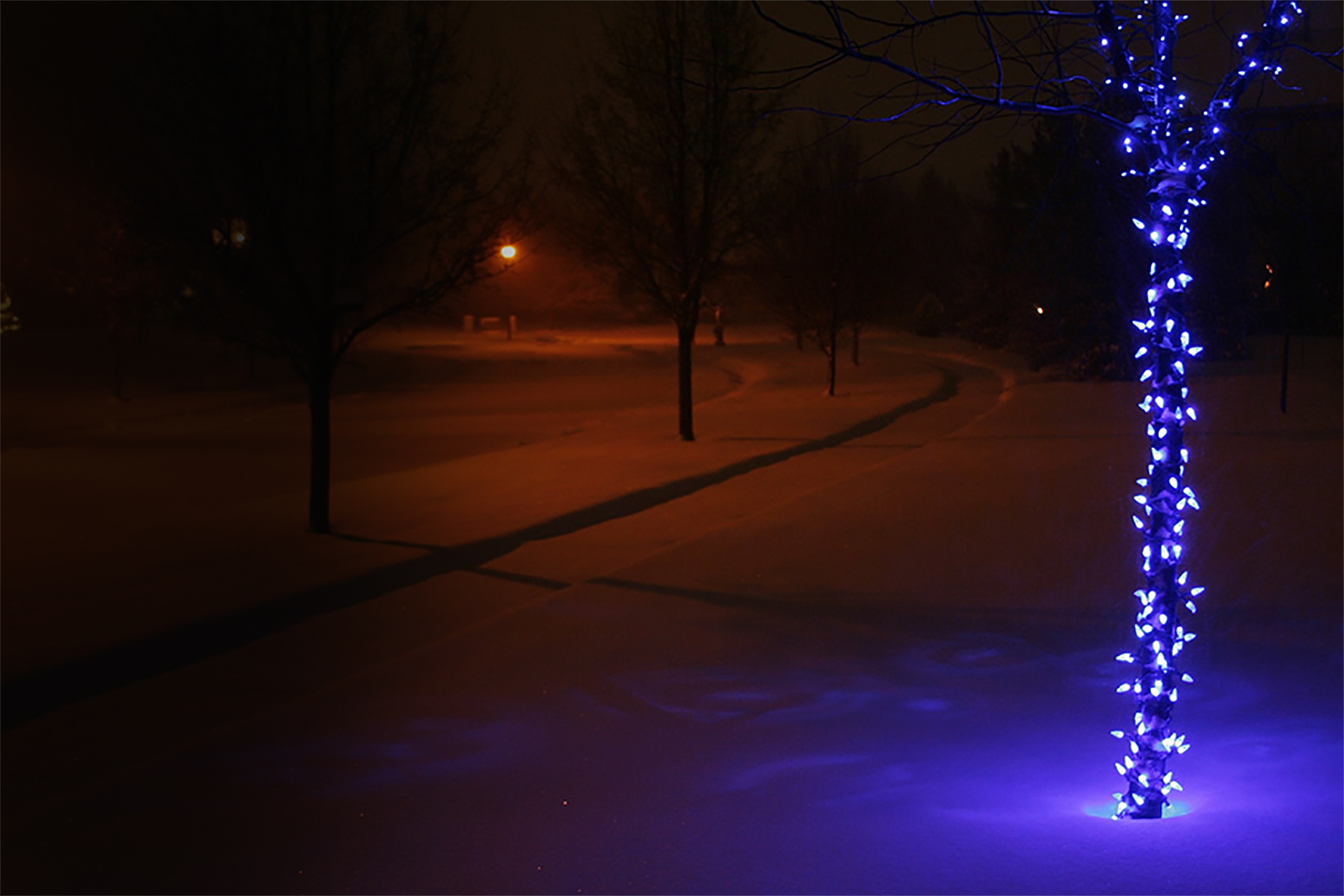 Blue Christmas: A service for the broken-hearted - St. Paul Lutheran ...