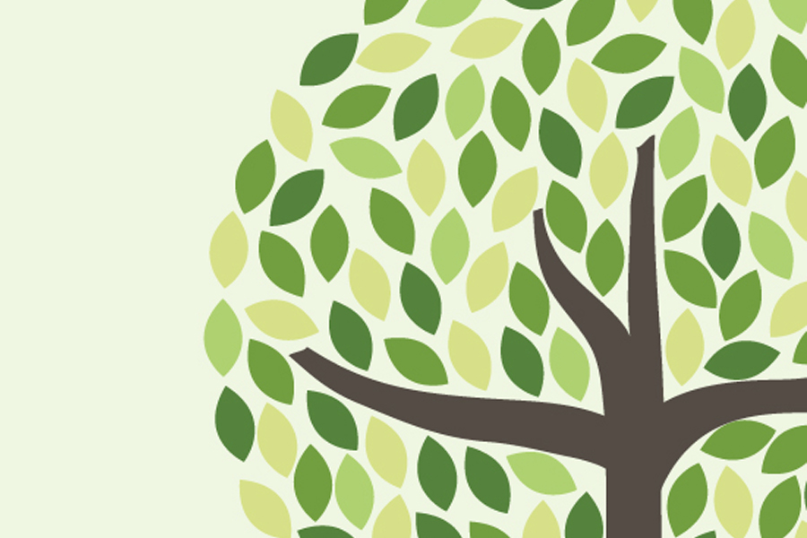 Lenten Wednesdays: A tree planted - St. Paul Lutheran Church Quad Cities